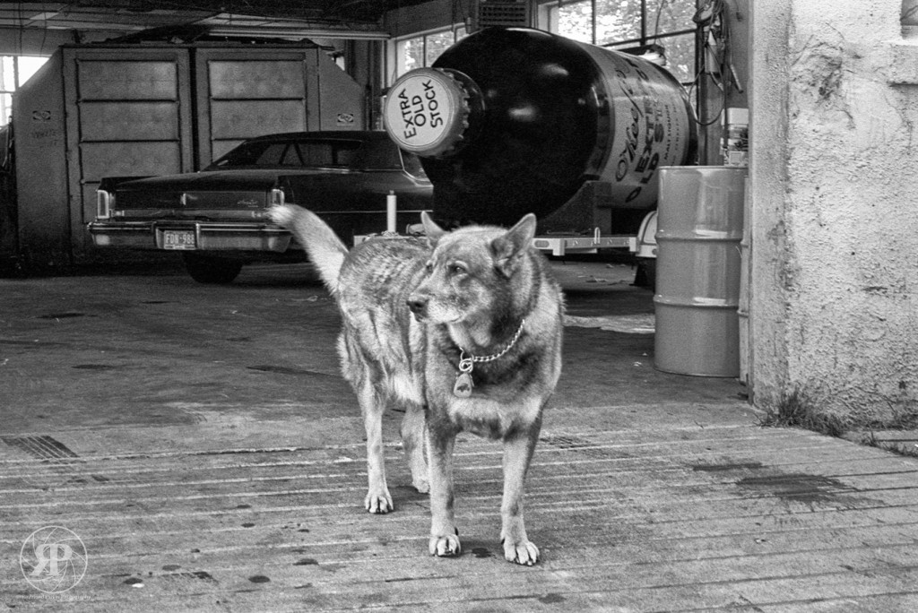 An extra old stock photograph of Vancouver, BC » Raymond Parker Photography
